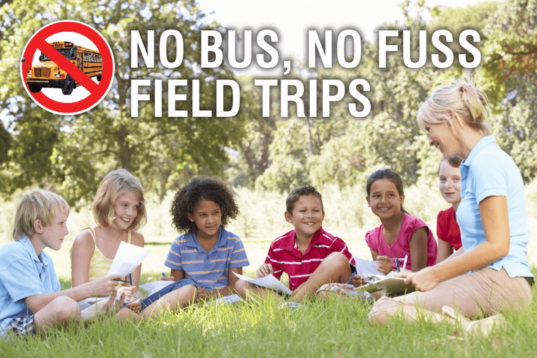 Educators: Take Your Class On A Field Trip Without The Bus – Casper College