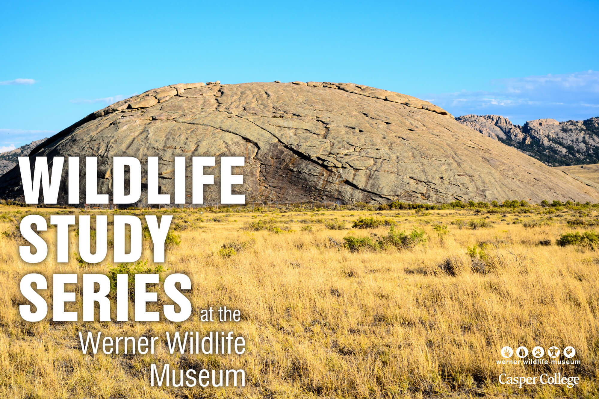 ‘Zoography: Where The Animals Are’ June Topic At Werner – Casper College