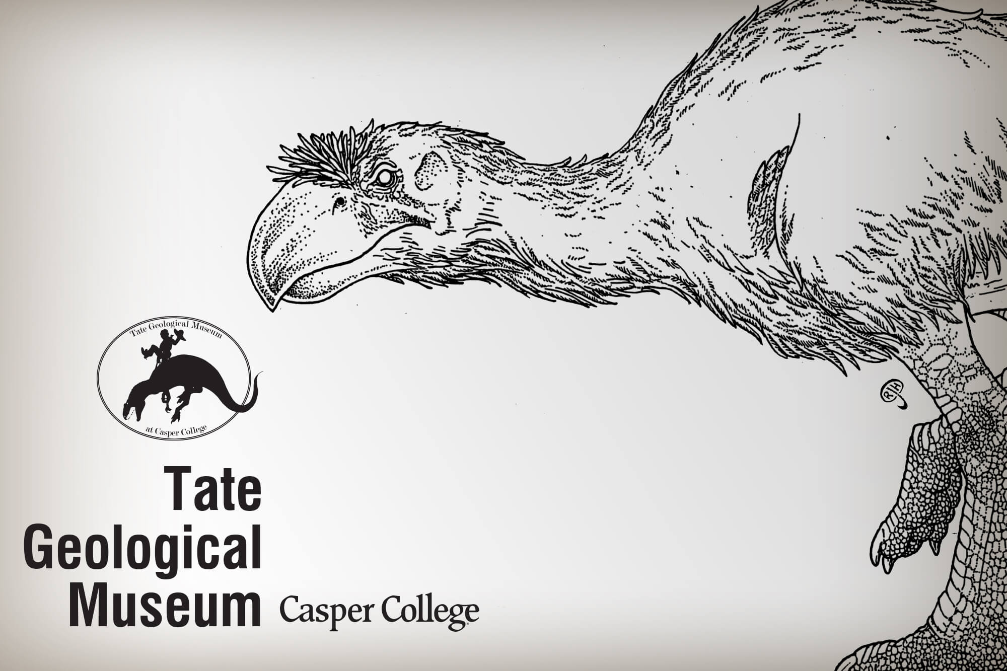 Tate Celebrates Fossil Day Dedicates Beautiful Bronze Fossil Bird ...