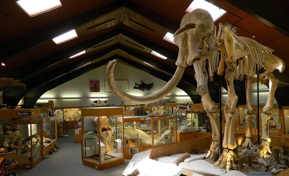 Visit The Tate Museum – Casper College