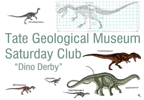 Discover The Fastest Dinosaur At March Saturday Club – Casper College