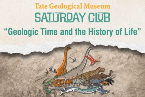 Saturday Club Returns With ‘Geologic Time And The History Of Life ...